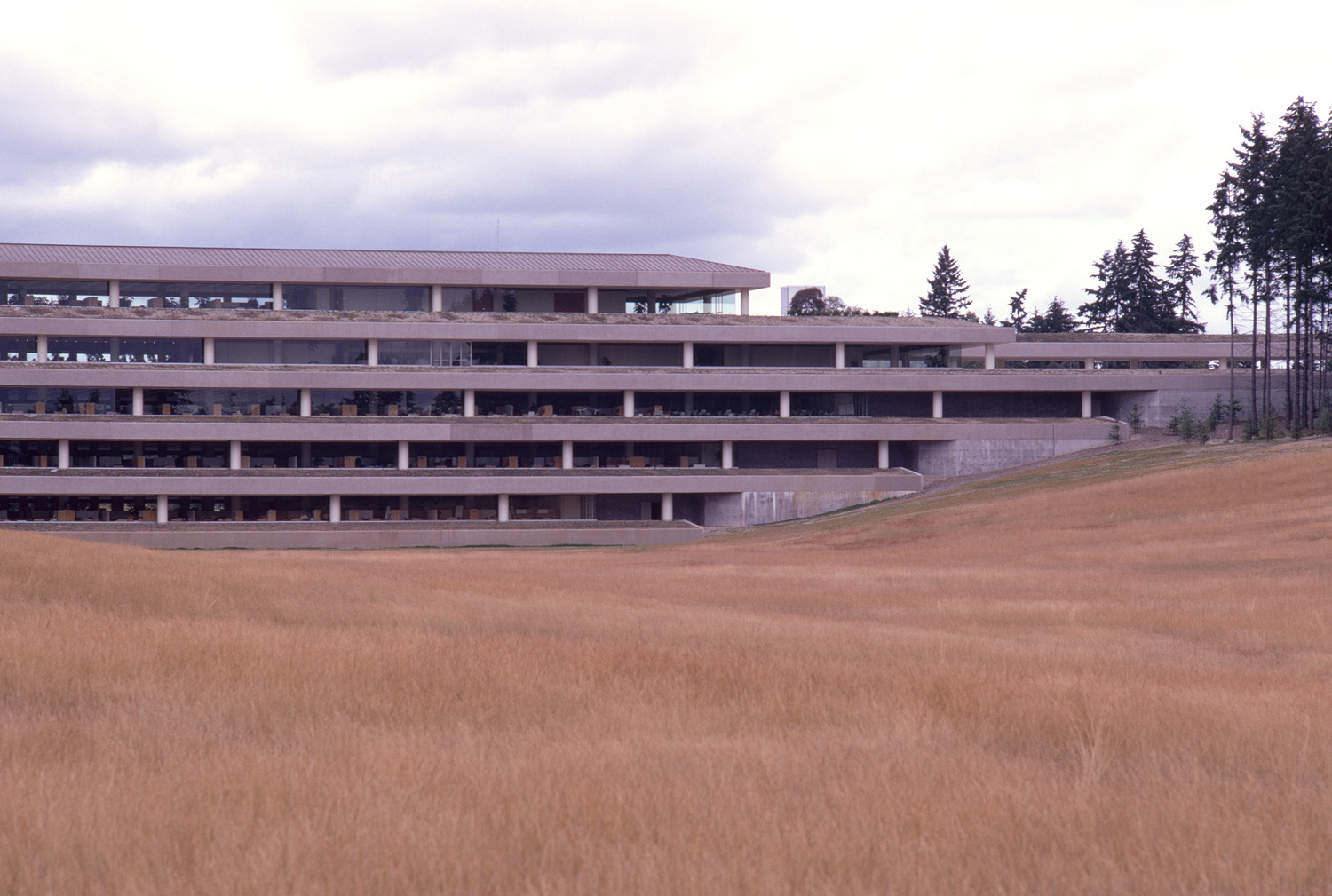 Weyerhaeuser Headquarters : MIT Libraries